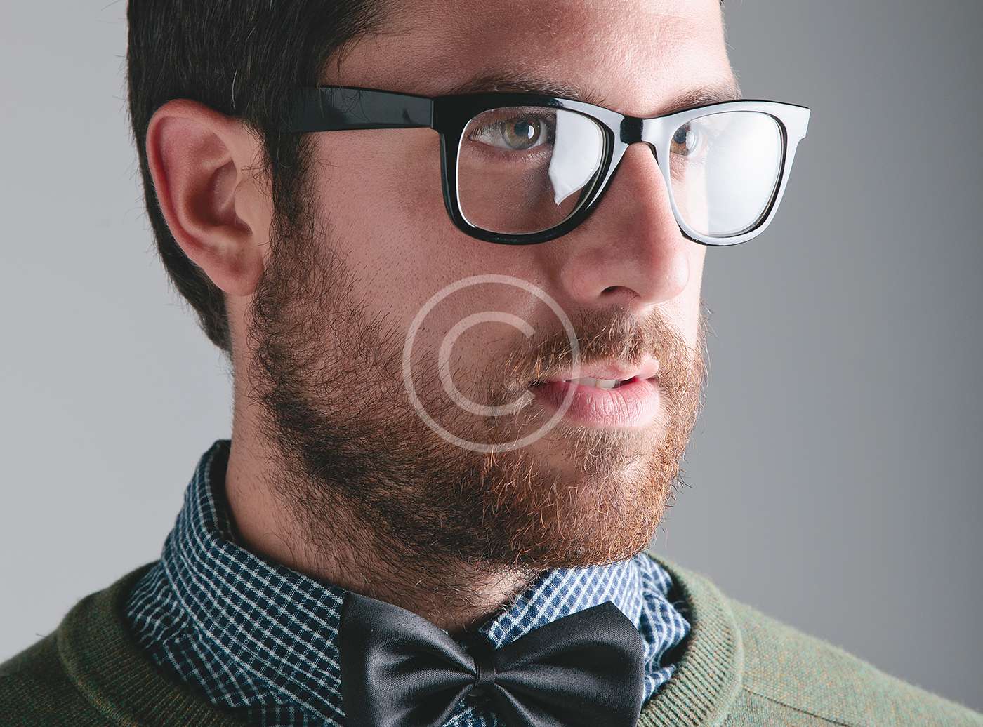 About Alternative - Màster Visió